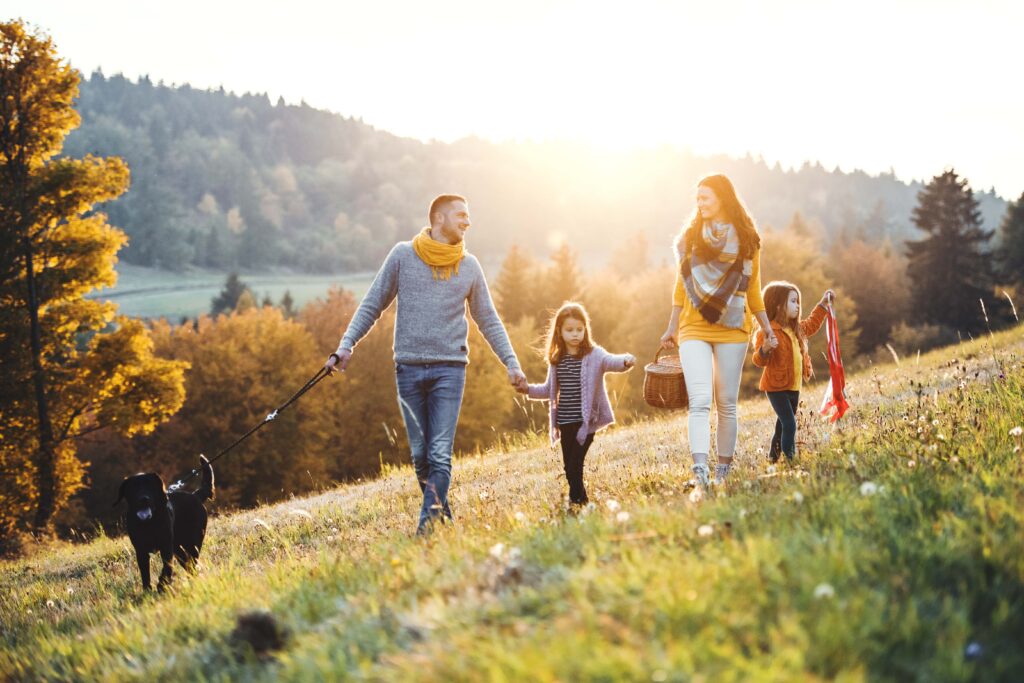 Chapparal Meadows | Luxuria Homes